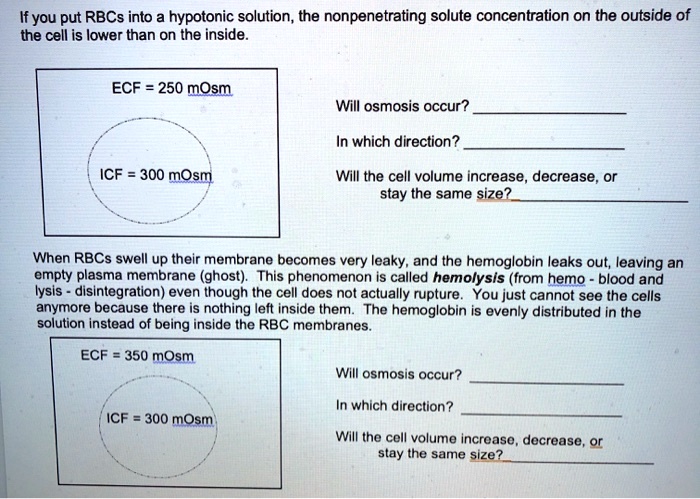 SOLVED: If you put RBCs into a hypotonic solution, the nonpenetrating solute concentration on ...