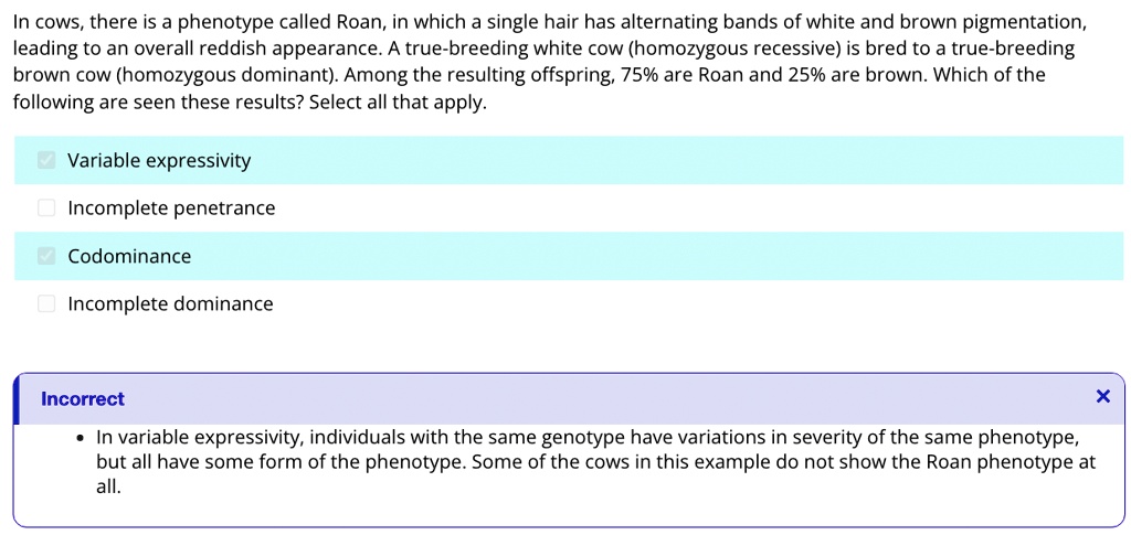 SOLVED: In cows, there is a phenotype called Roan, in which a single ...