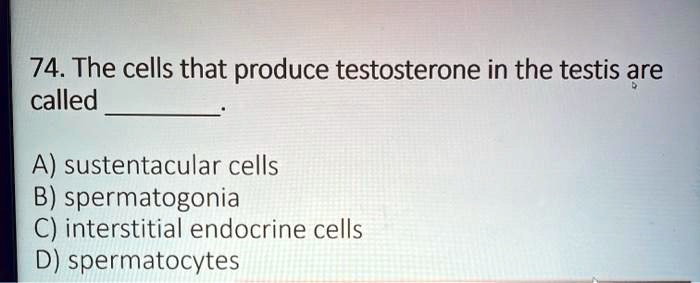 SOLVED: The cells that produce testosterone in the testis are called ...