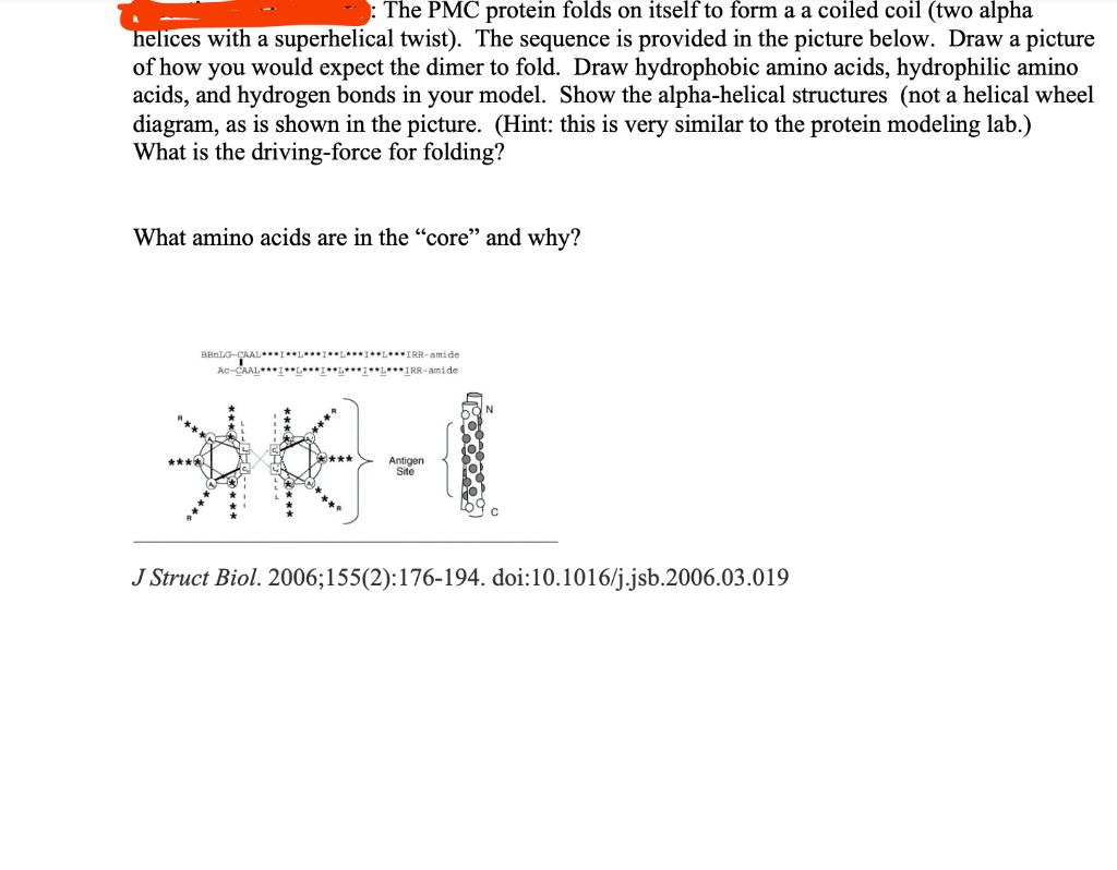 SOLVED:The PMC protein folds on itself to form a a coiled coil (two ...