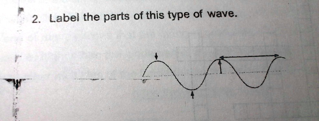 SOLVED: '2. Label the parts of this type of wave. 2 Label the parts of ...