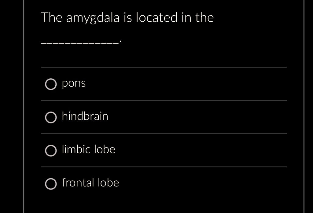 The amygdala is located in the pons hindbrain limbic lobe frontal lobe ...