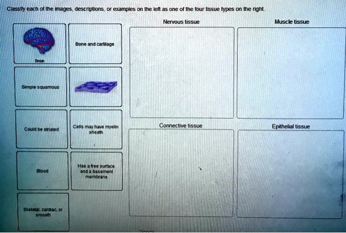 Classify each of the images, descriptions, or examples on the left as ...