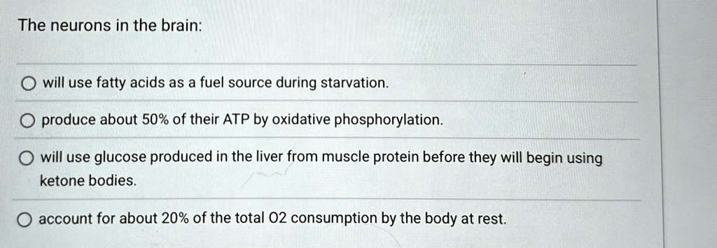 the neurons in the brain will use fatty acids as a fuel source during ...