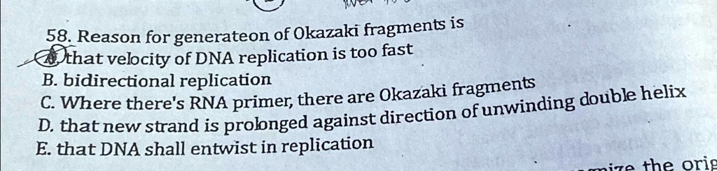 SOLVED: Reason for generation of Okazaki fragments is A. that velocity ...