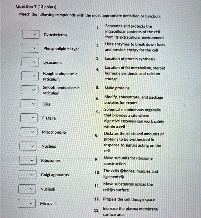 Question 7 (13 points) Match the following compounds with the most appropriate definition or ...