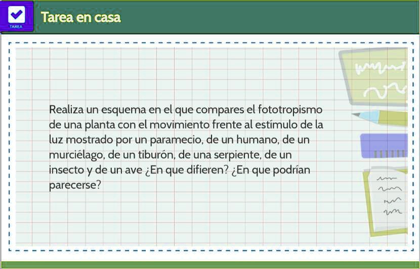 SOLVED: Ayuda porfavor 30 puntos mas corona si esta mal la respuesta te ...