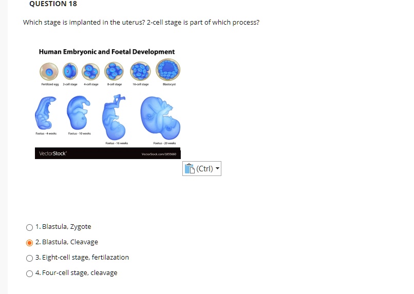 SOLVED: QUESTION 18 Which stage is implanted in the uterus? 2-cell ...