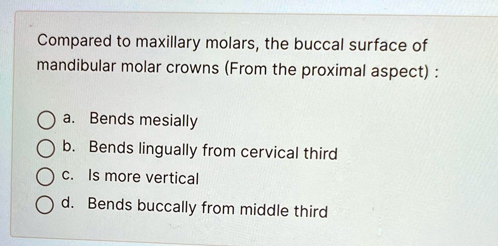 Compared to maxillary molars, the buccal surface of mandibular molar ...