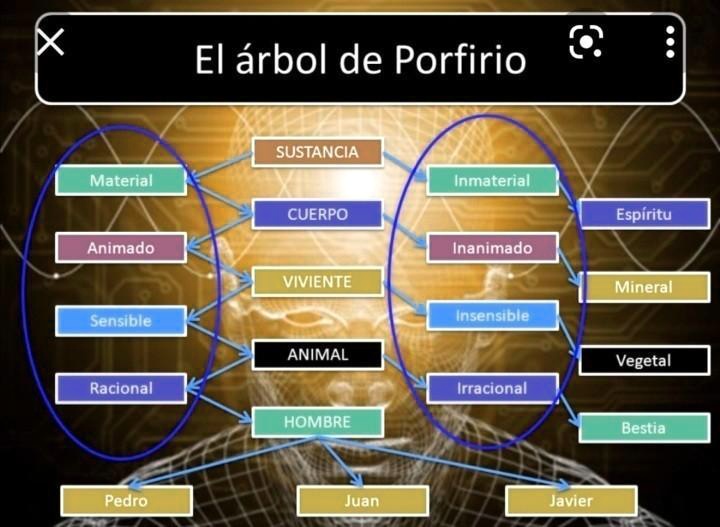 ayuda no entiendo porfavor es para hoy tomando como referencia el arbol ...