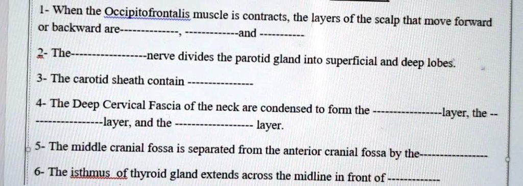 1-When the Occipitofrontalis muscle contracts, the layers of the scalp ...