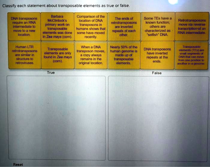 SOLVED: Text: Classify each statement about transposable elements as true or false Barbara ...
