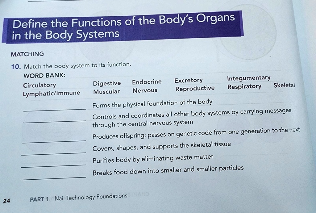 Define the Functions of the Body's Organs in the Body Systems MATCHING ...