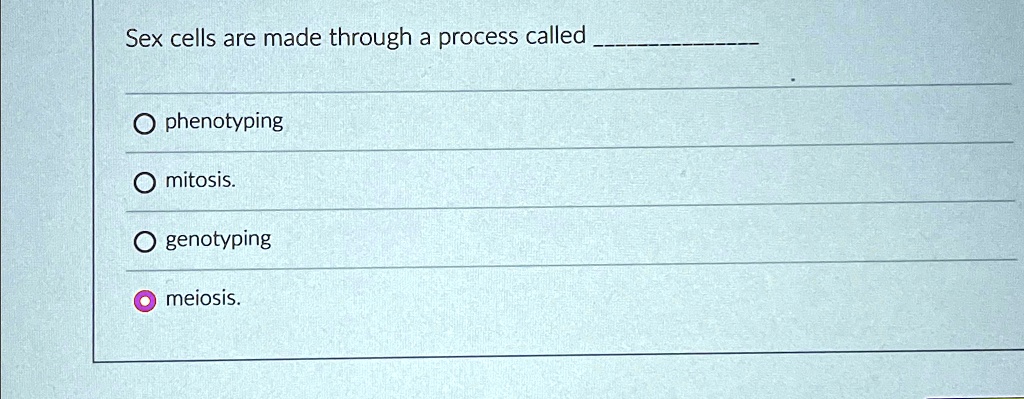 sex cells are made through a process called phenotyping mitosis ...