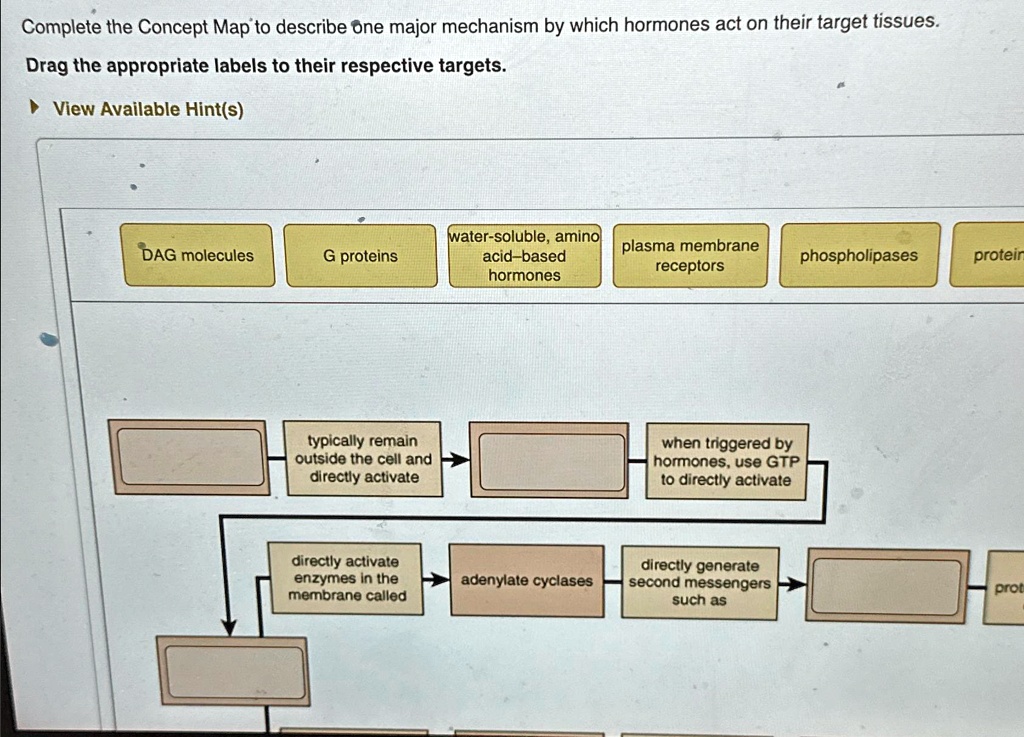 Complete the Concept Map' to describe one major mechanism by which ...