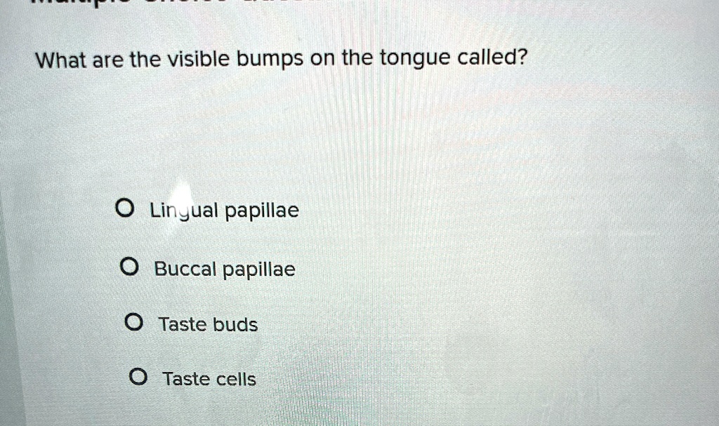 What are the visible bumps on the tongue called? O Lingual papillae O ...