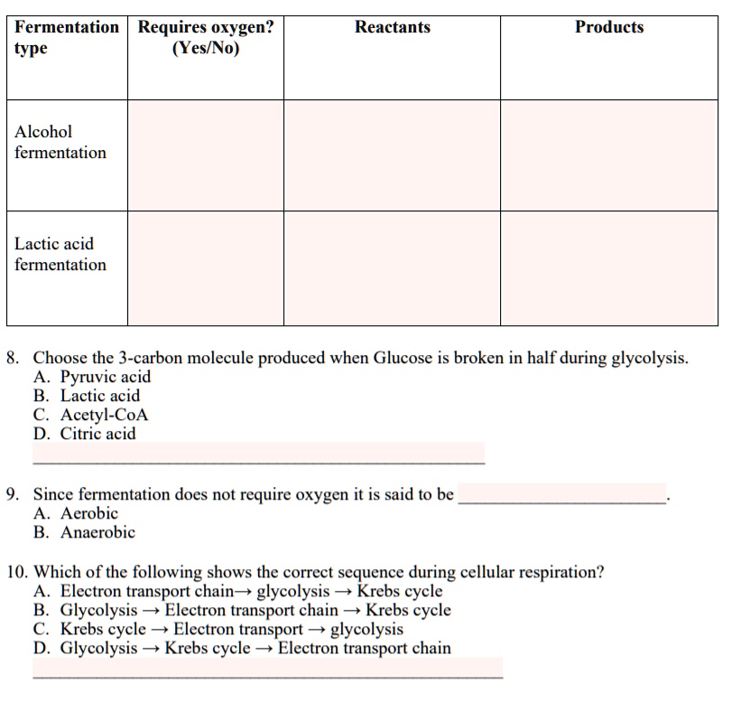 fermentation requires oxygen type yesno reactants products alcohol ...