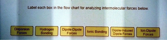 Label each box in the flow chart for analyzing intermolecular forces ...