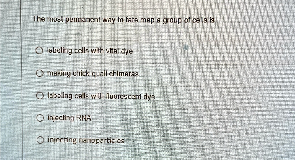 The most permanent way to fate map a group of cells is: - labeling ...