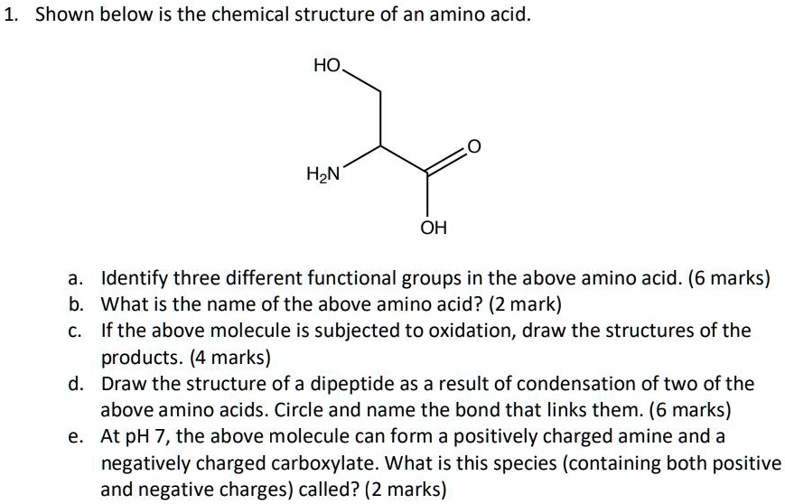 1. Shown below is the chemical structure of an amino acid. HO H2N OH O a. Identify three ...