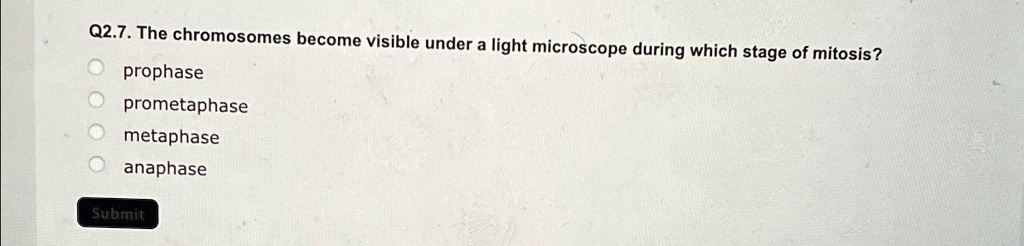 Q2.7. The chromosomes become visible under a light microscope during ...
