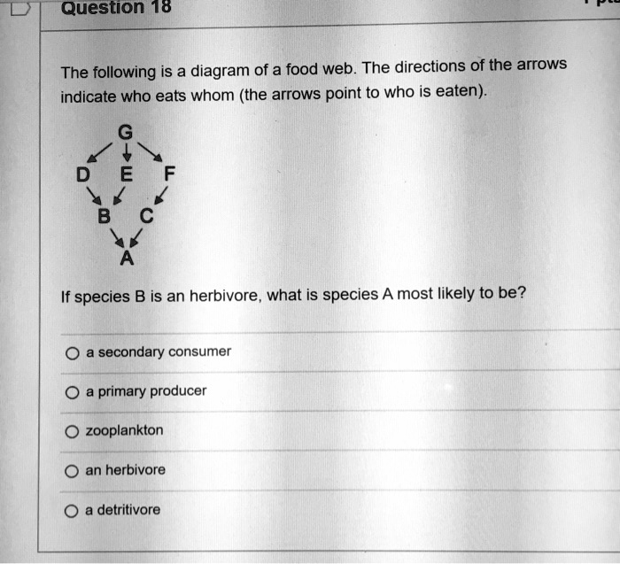 SOLVED: Question 18 The following is a diagram of a food web The ...