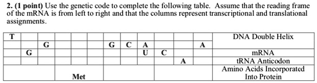 SOLVED: Use the genetic code to complete the following table: Assume ...