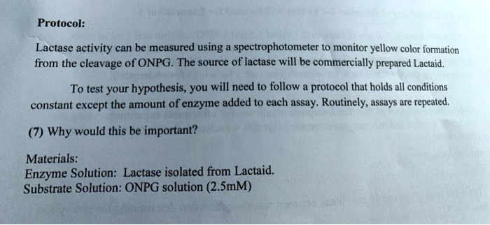 SOLVED: Protocol: Lactase activity can be measured using a ...
