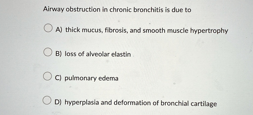 airway obstruction in chronic bronchitis is due to a thick mucus ...
