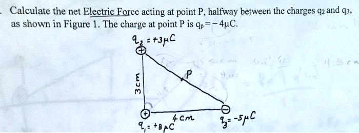 SOLVED: Calculate the net electric force acting at point P, halfway ...
