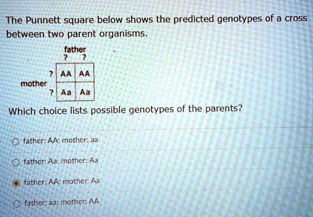 SOLVED: 'please help me!!! this is for hw! The Punnett square below ...