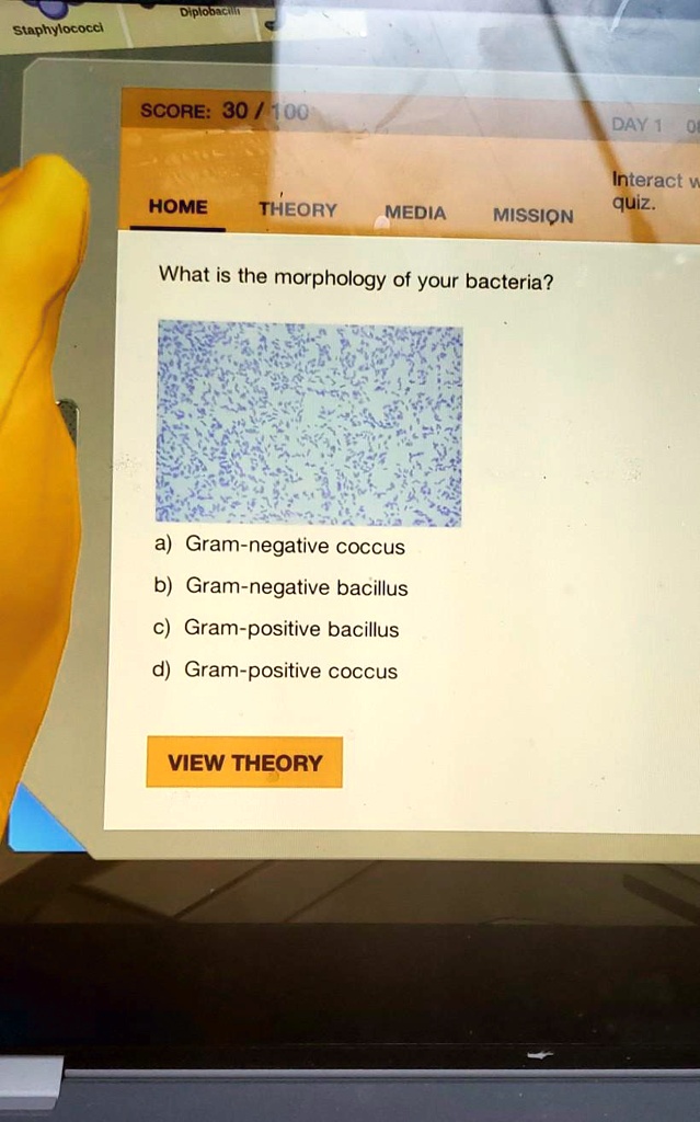 SOLVED: Diplobacilli Staphylococci SCORE: 30/100 DAY 1 Interactive quiz ...