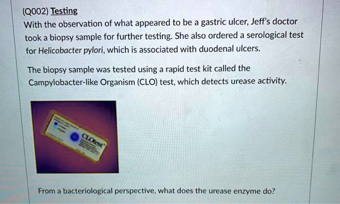 q002 testing with the observation of what appeared to be a gastric ...
