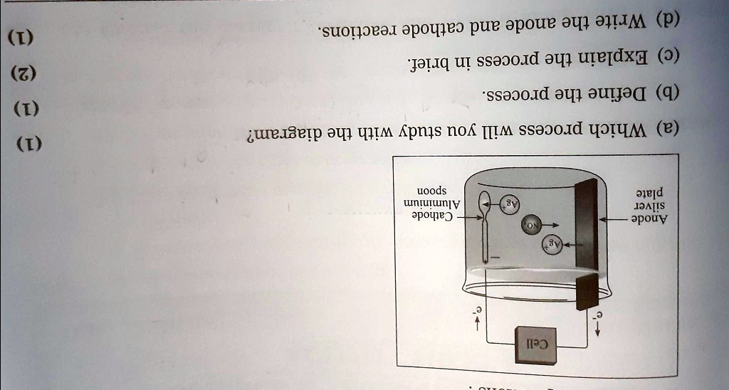 ii identify the process shown in the givein the given diagram and give ...