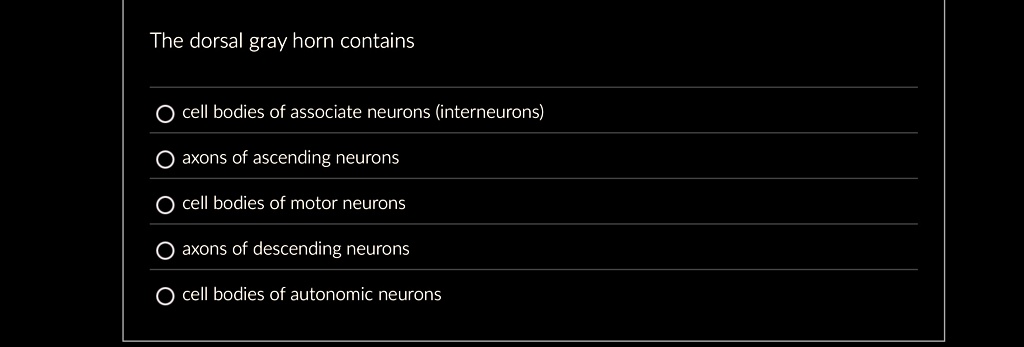 The dorsal gray horn contains cell bodies of associate neurons ...