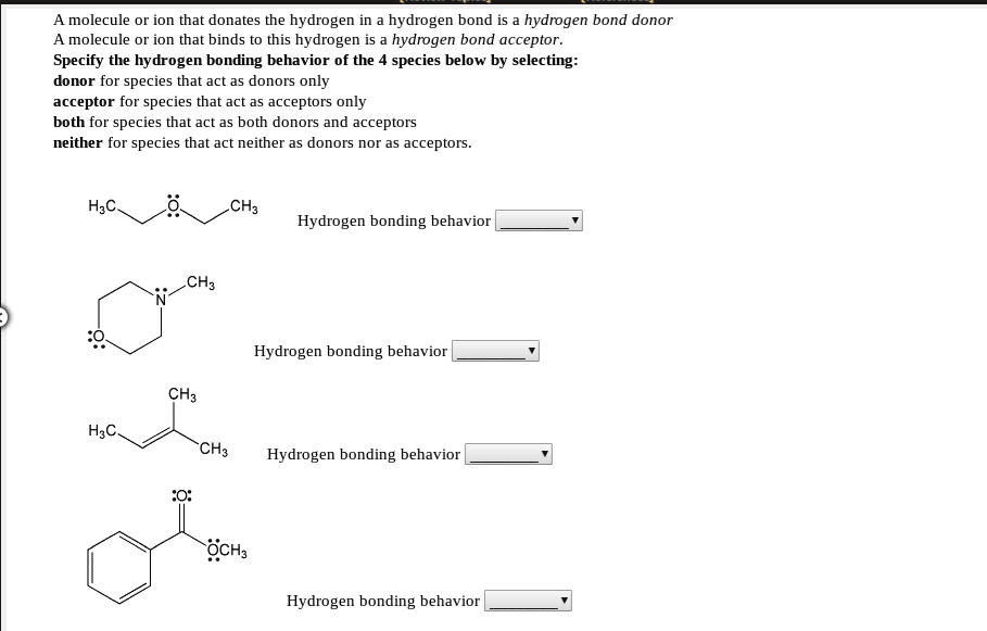 SOLVED: A molecule or ion that donates the hydrogen in hydrogen bond is ...