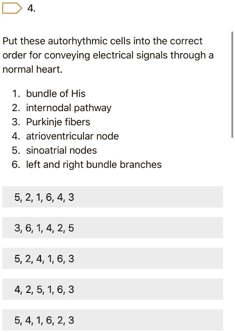 SOLVED: Put these autorhythmic cells into the correct order for conveying electrical signals ...