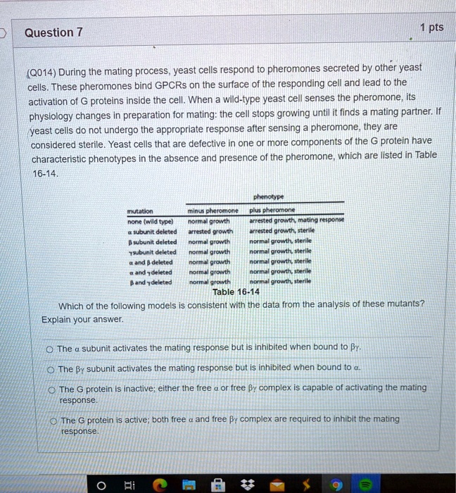 SOLVED: Question 7 pts (0014) During the mating process, yeast cells respond to pheromones ...