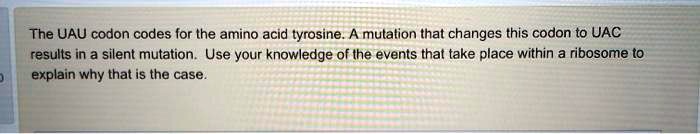 SOLVED: The UAU codon codes for the amino acid tyrosine. A mutation ...