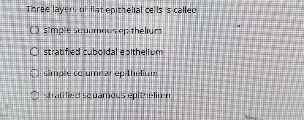 three layers of flat epithelial cells is called simple squamous ...