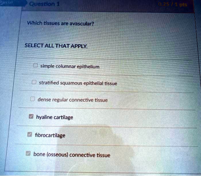 Partial Question 1 Which tissues are avascular? SELECT ALL THAT APPLY ...