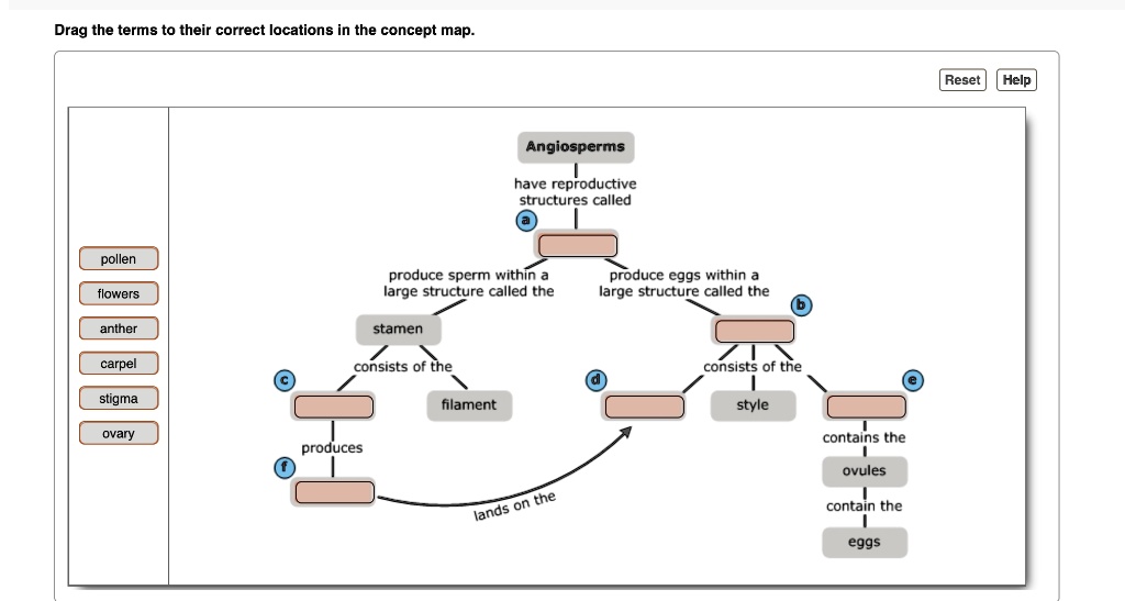 SOLVED: Drag the terms to their correct locations in the concept map ...