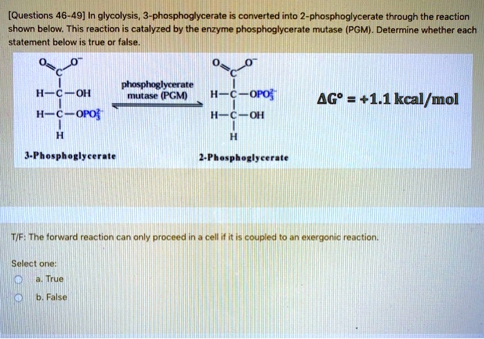 SOLVED: [Questions 46-49] In glycolysis, 3-phosphoglycerate is ...