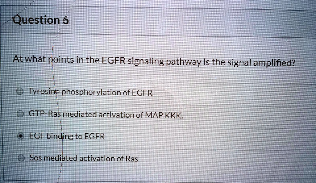 question 6 atwhat points in the egfr signaling pathway is the signal ...