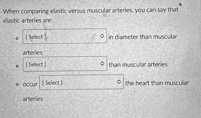 SOLVED: Texts: When comparing elastic versus muscular arteries, you can ...