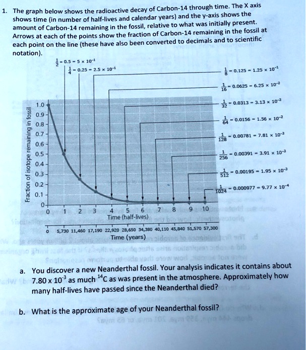 decay of carbon 14 through time the x axis the graph below shows the ...