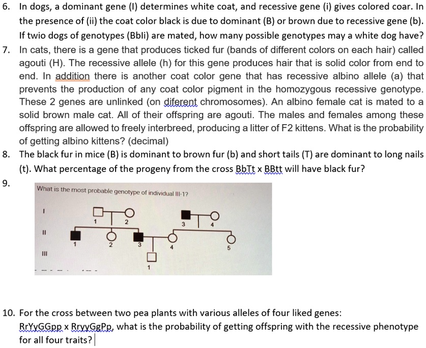 SOLVED: dogs, dominant gene (I) determines white coat, and recessive ...