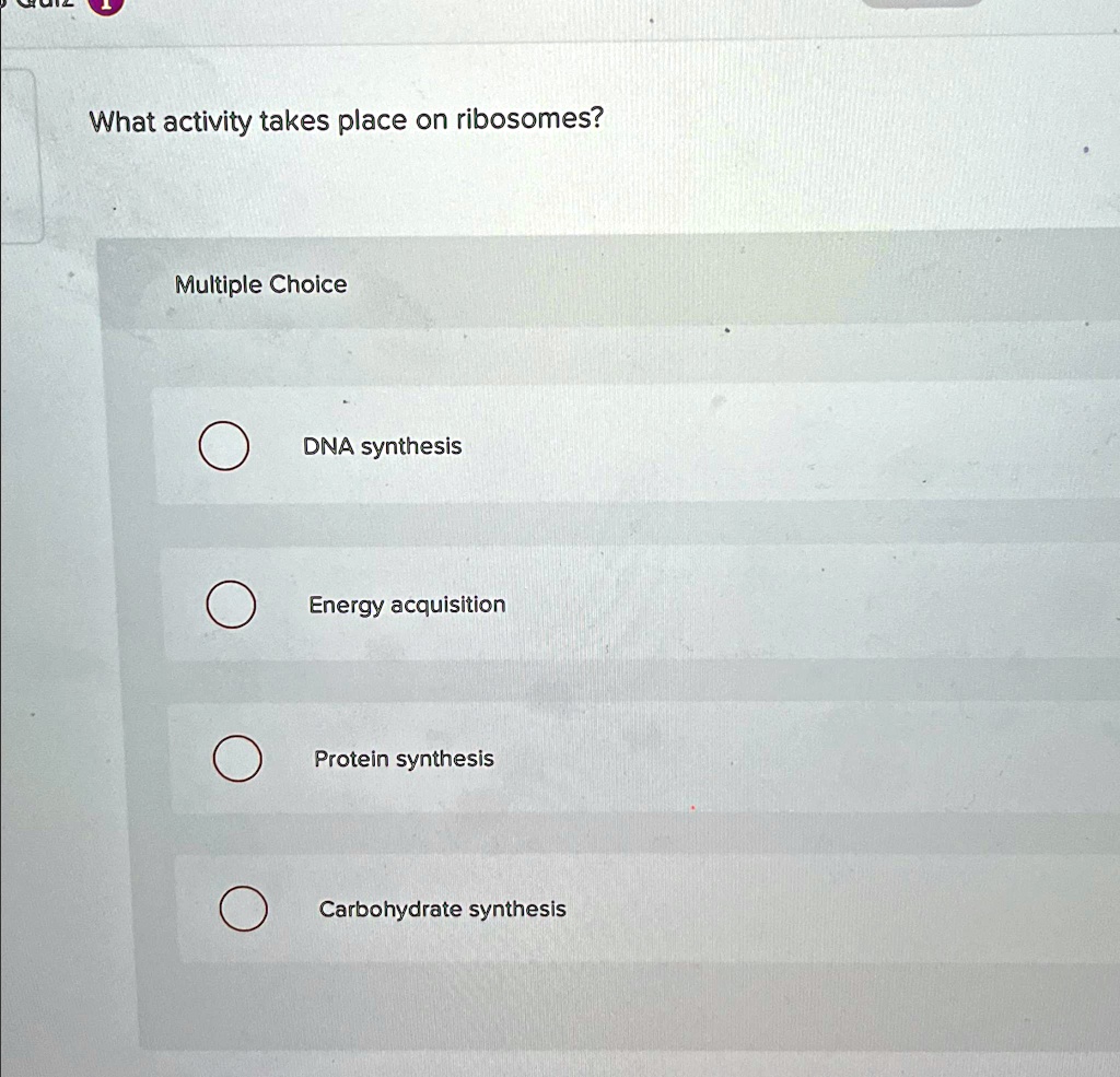 What activity takes place on ribosomes? Multiple Choice DNA synthesis ...