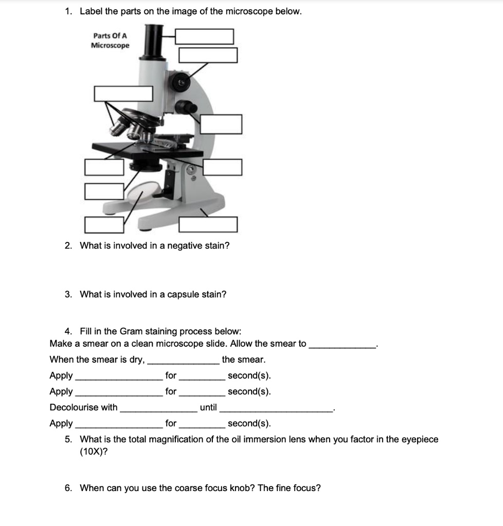 SOLVED: Label the parts on the image of the microscope below Parts Of A Microscope What is ...