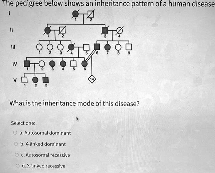 SOLVED:The pedigree below Shows an inheritance pattern of a human ...